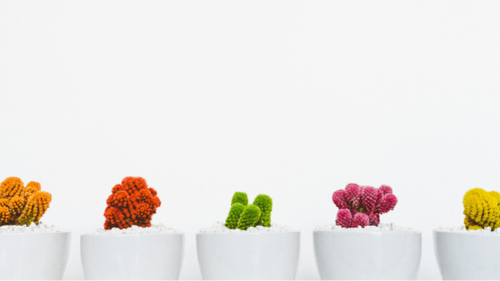 The Ultimate Drupal SEO Guide for 2020 | Opensense Labs